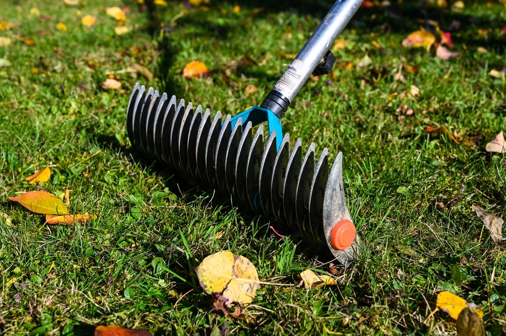 15 garden tips for October - Fernhill Garden Centre