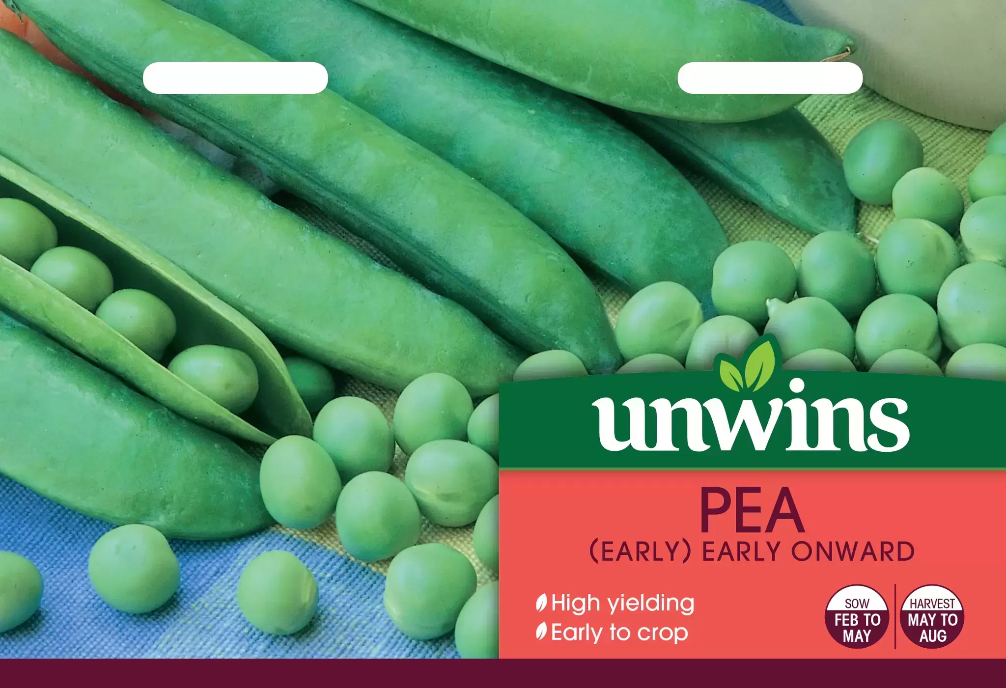 Pea (Early) Early Onward - Fernhill Garden Centre