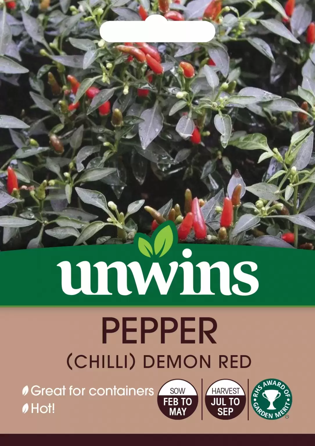 Pepper (Chilli) Demon Red - Fernhill Garden Centre